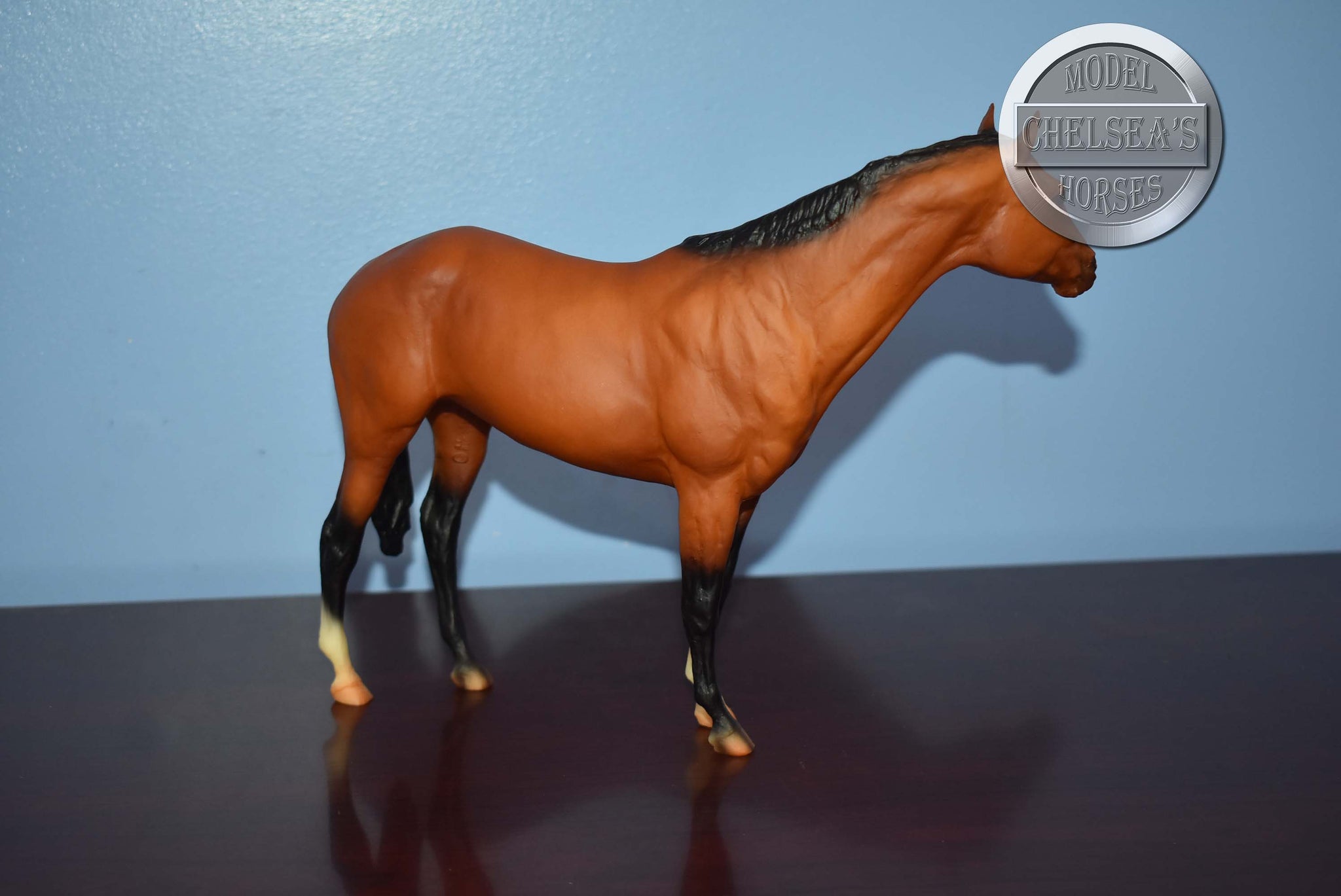 Bay Thoroughbred-JCP Exclusive-Secretariat Mold-Breyer Traditional ...