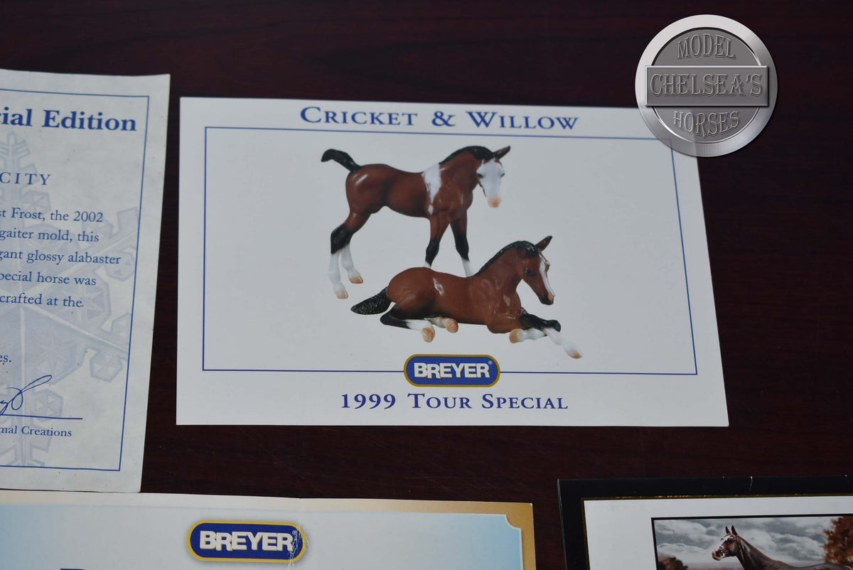 Assorted COA's-YOU SELECT-Accessories – Chelsea's Model Horses